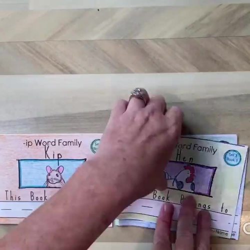 Emergent Readers CVC Books CVC Stories for CVC Word Family Set 3 Booklets