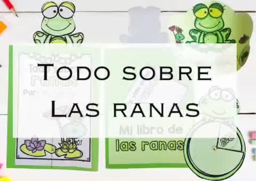 Las ranas | Ciclo de vida de la rana | Frogs Life Cycle in Spanish ...