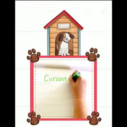 Multiple Intelligences Survey Activities | Posters | Bundle | TPT