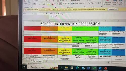 K-8 intervention progression chart (editable and fillable resource ...