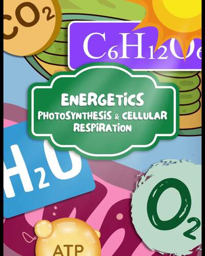 Interactive Notebook – Cellular Energy: Photosynthesis & Cellular ...