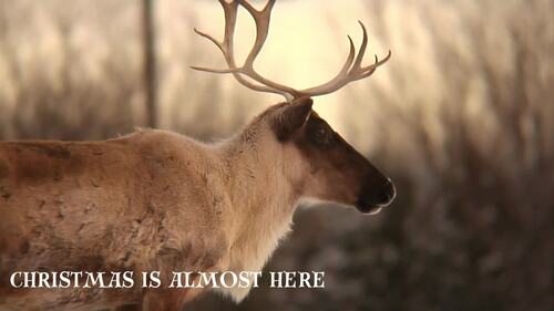 Digital Escape Room - 5th Grade Christmas - Decimals and Fractions - No ...