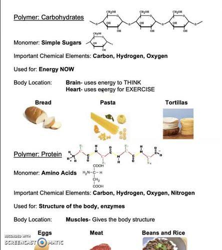 basic organic chemicals