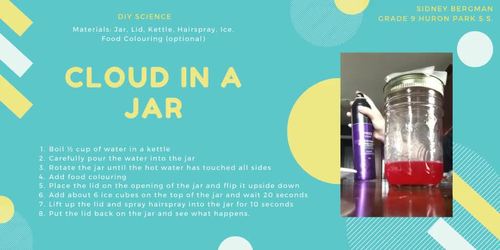 Water Cycle, Parts of a Plant, Plants and Water Mini-Unit | TPT