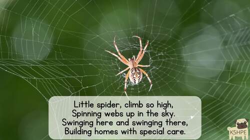Music: Little Spider Song, Classroom Songs for Reading, Lyrics for Sing ...