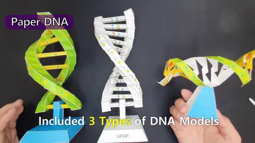 DIY 3D Paper DNA Model, Double Hexlix, Printable Instant, origami, Science