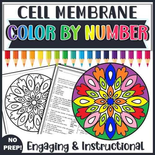 Cell Membrane Color by Number | Biology Review Worksheet Activity