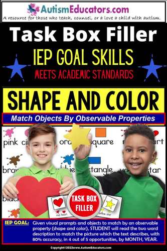 Identifying Color and Shape Task Box Filler® for Special Education and ...