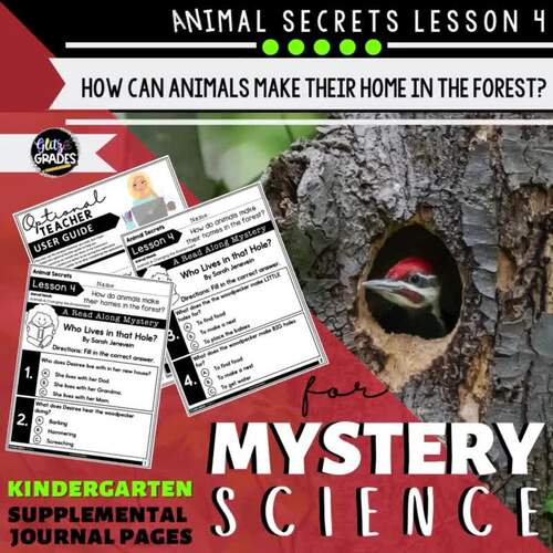 Mystery Science Kindergarten SUPPLEMENT Animal Secrets Lesson 4 ...