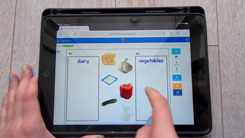 Food Groups Sort BOOM CARDS™ Digital Resource Special Education Real Photos