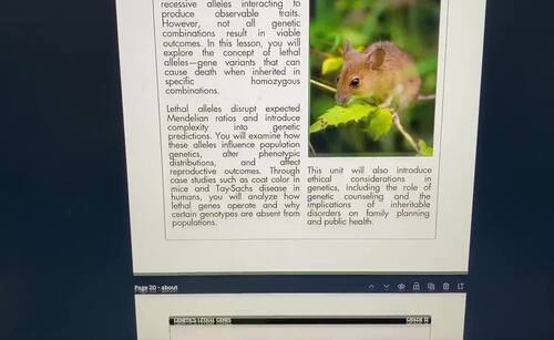 Lethal Alleles Genes lesson, sub plans, inheritance Genetics worksheets