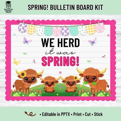 Highland Cow Spring Bulletin Board Kit | Classroom Door Decor | TPT