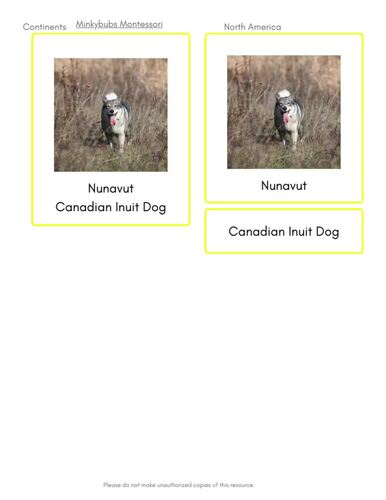 Mammals of the Provinces of Canada 3-Part Cards Montessori Geography ...