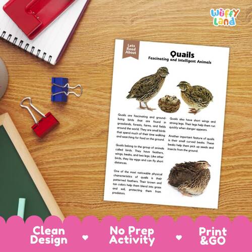 Quail Reading Passage and Questions - Science Informational Text Worksheets