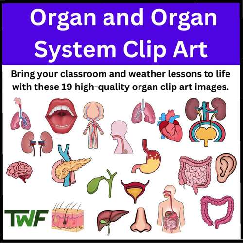 Human Organs and Organ Systems Clip Art - Science and Biology Clip Art