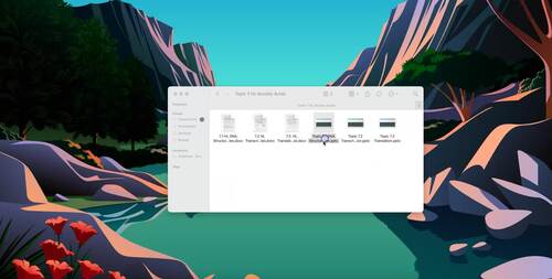 IB Biology Topic 7 - AHL Nucleic Acids PowerPoint and Skeleton Notes