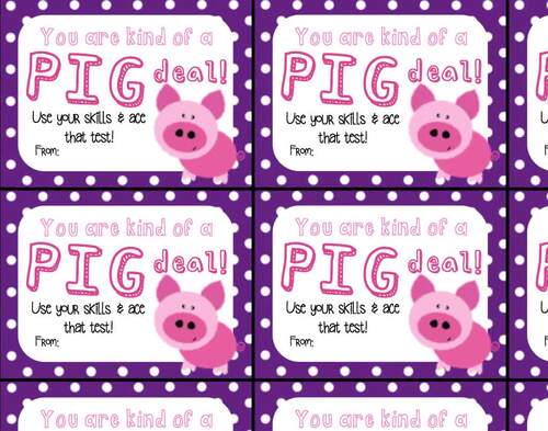 Pig Testing Motivation Treat Tag- You are kind of a PIG deal! Use your ...