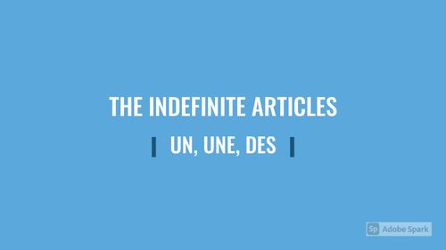 FRENCH The indefinite article un-une-des review worksheet lesson