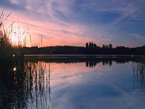Environmental Studies - We Are Guardians of Sacred Waters | TPT