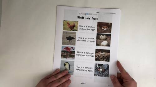 Different Bird Eggs Thematic Unit Lesson Plan by A Messy Classroom