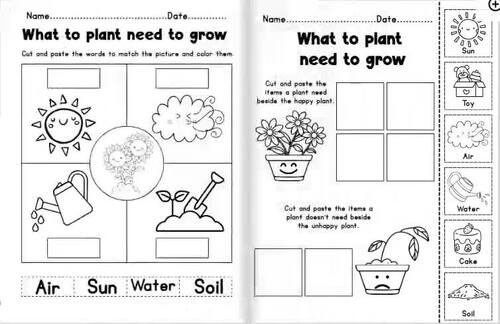 Plants Worksheets | Basic Needs, Parts of a Plant, Plant Life Cycle