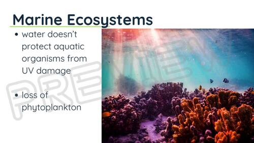 AP Environmental Science Unit 9: Global Change Presentation - EDITABLE