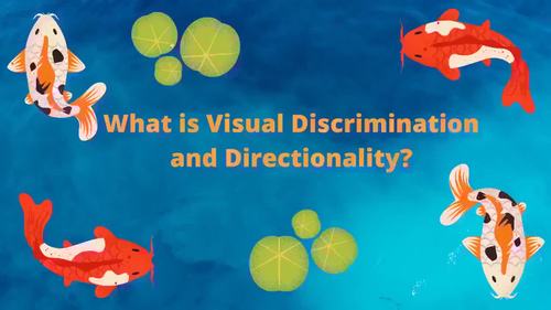 Visual Discrimination and Directionality Activities for Dyslexia and ...