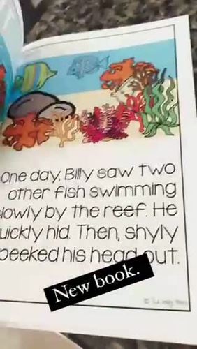 Suffix -ly Activities Worksheets Posters Decodable Book Anchor Chart # ...