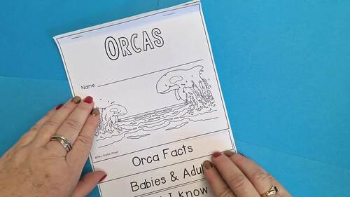 Killer Whale Orca Flip Book - Science Activity with Reading and Writing