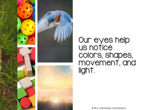 Using Our Eyes - Projectable Read-Aloud Lesson - KINDER SCIENCE | TPT