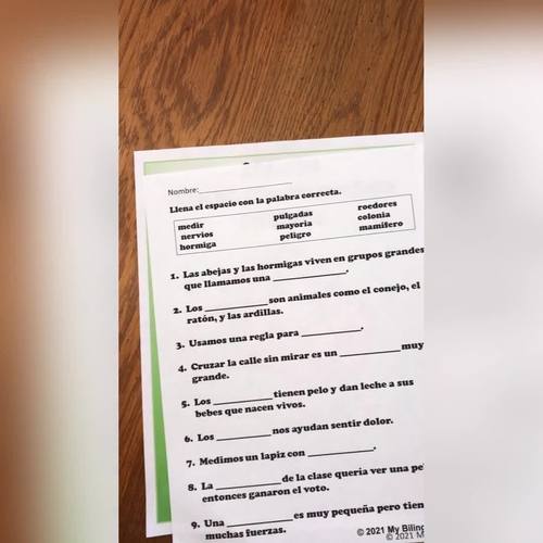 Naked Mole Rat - Spanish Reading Comprehension Activity Printables