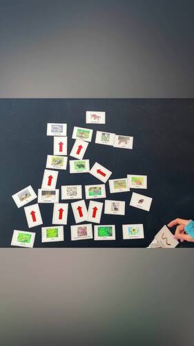 Food Chains and Food Webs Task Cards and Ecosystem Activities & Flow of ...