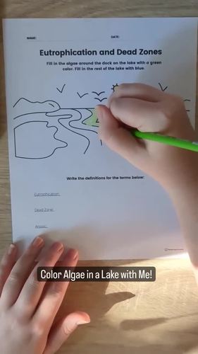 Middle School Environmental Science Activity - Eutrophication and Dead ...