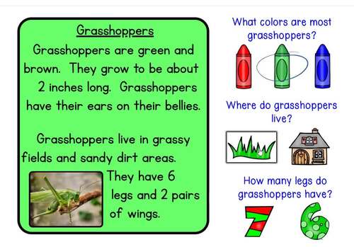 Boom Cards - Reading Comprehension K-2 (Pack 1) by Miss Rainbow Education