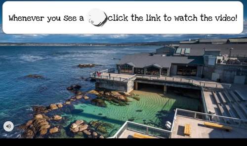 Monterey Bay Aquarium Virtual Field Trip - California by TheOneRadTeacher