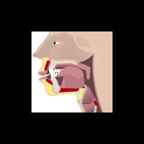 Accent Training Series: Stressed Medial P Sound by Teacher Republic