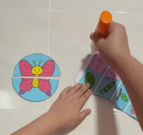 Life Cycle of a Butterfly Frog Chicken Craft Activity Summer Science ...