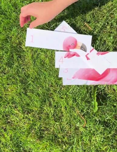 Number Sequencing Puzzles - Animal Theme - Number Sequencing 1 - 5