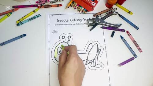 Insect Color And Cut Fine Motor Activity | Insect Scissor Skills Craft ...