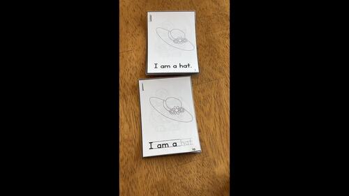 CVC short A and Pre-Primer Dolch Sight Word Books and Activities