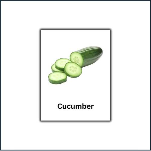 VEGETABLES 50 Real Picture Flashcards. Learning Educational Homeschool ...