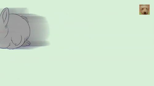 Distance Learning: ESL Video Bundle | Beginners | No Text | TPT