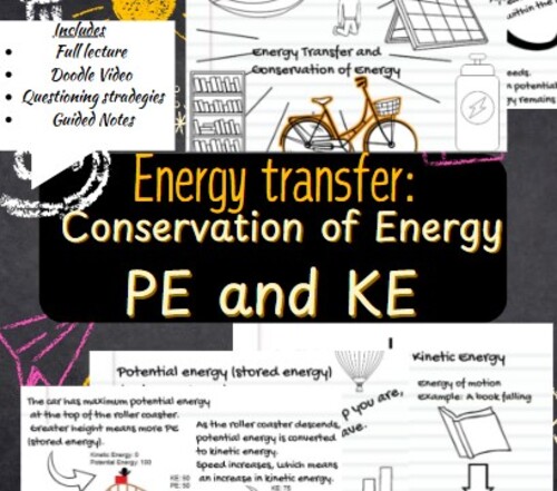 Energy Transfer and Conservation of Energy (Potential and Kinetic ...