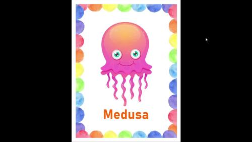 Spanish Animals Flashcards Bundle for kids to learn Animal Vocabulary ...