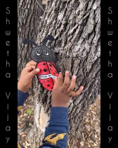 Spring Craft Activity LadyBug Number sense Carft, Math Bulletin Board Ideas