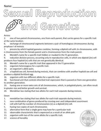 Sexual Reproduction and Genetics Vocabulary Crossword Puzzle | TPT