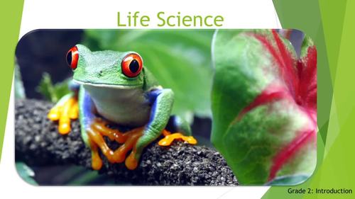 NGSS Life Science Unit, 2nd Grade (Chapter 3) (Distance Learning)