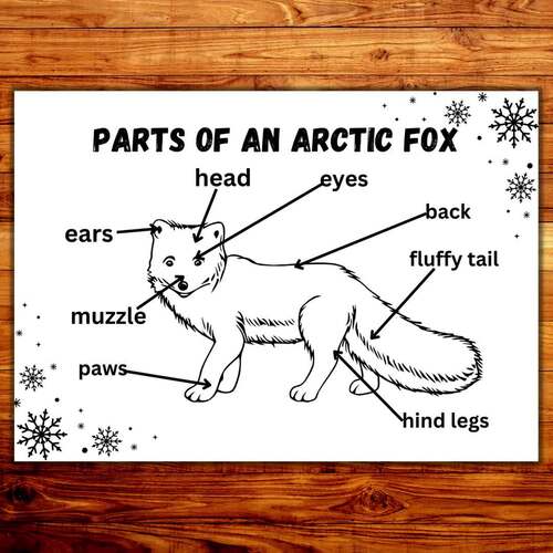 Arctic Fox Informative Writing Labeling and Writing Activities with ...
