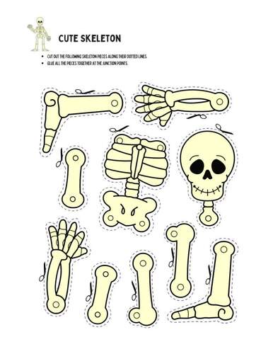 Fun with the skeletal skeleton system physical education science