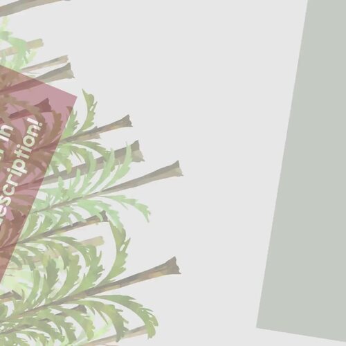 My First Christmas Handprint Craft Bundle - Easy Christmas Art Activity ...